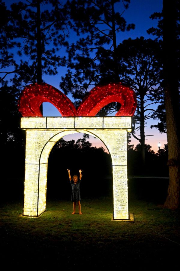 3D Gift Box Arch - Commercial Holiday Decorations & Seasonal Banners