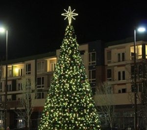 Commercial Christmas Trees & Decor | MOSCA